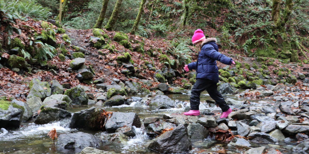 Salmon Spawning Season at Goldstream Park - Victoria Real Estate ...